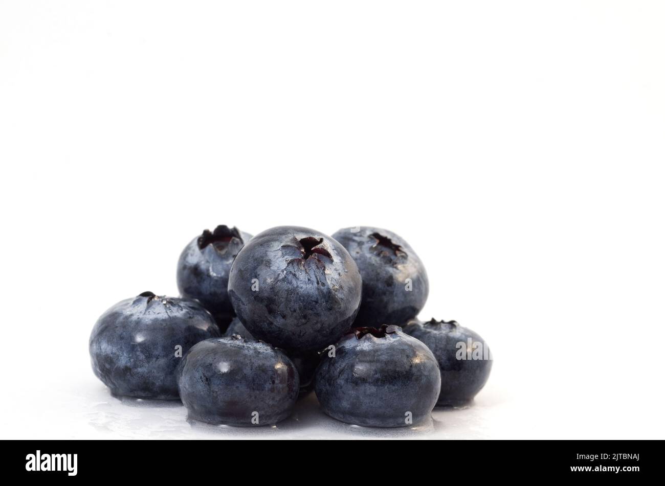 Macro Image of Delicious Wet Blueberries Isolated on White Background ...