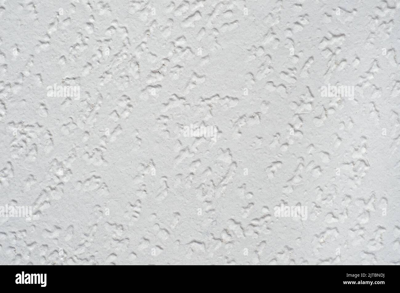 Macro Image of Textured White Ceiling Tile Horizontal Stock Photo - Alamy