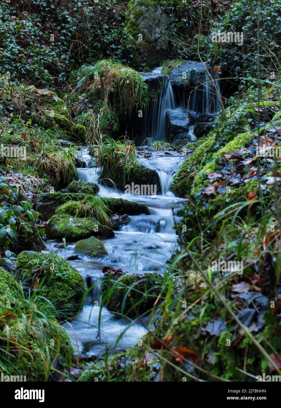 Water cascading over rocks in a small stream on a walking path on a ...