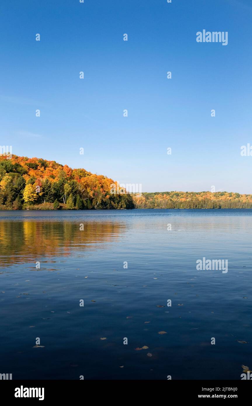 Meech hi-res stock photography and images - Alamy