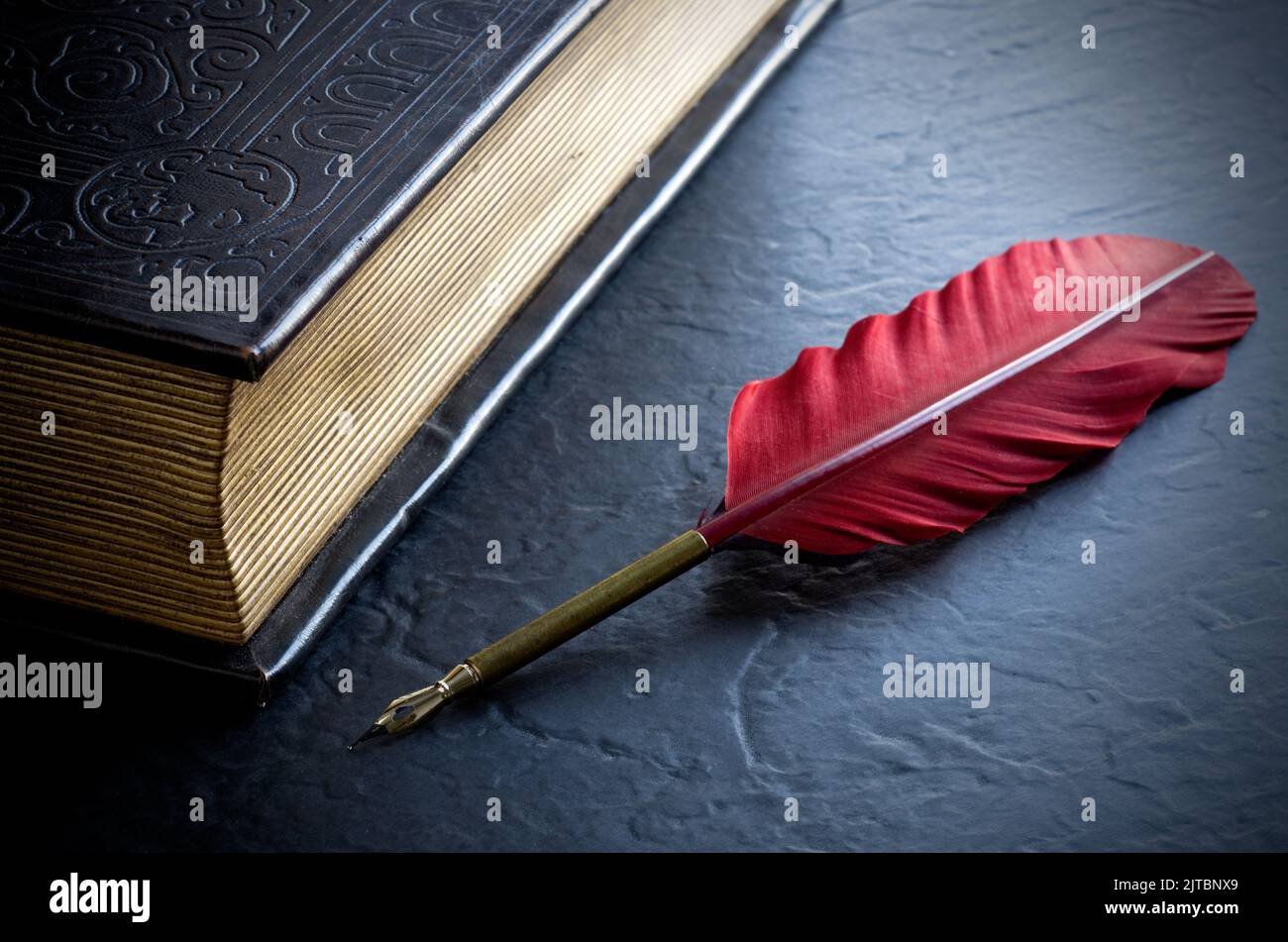 Feather tip pen hi-res stock photography and images - Alamy