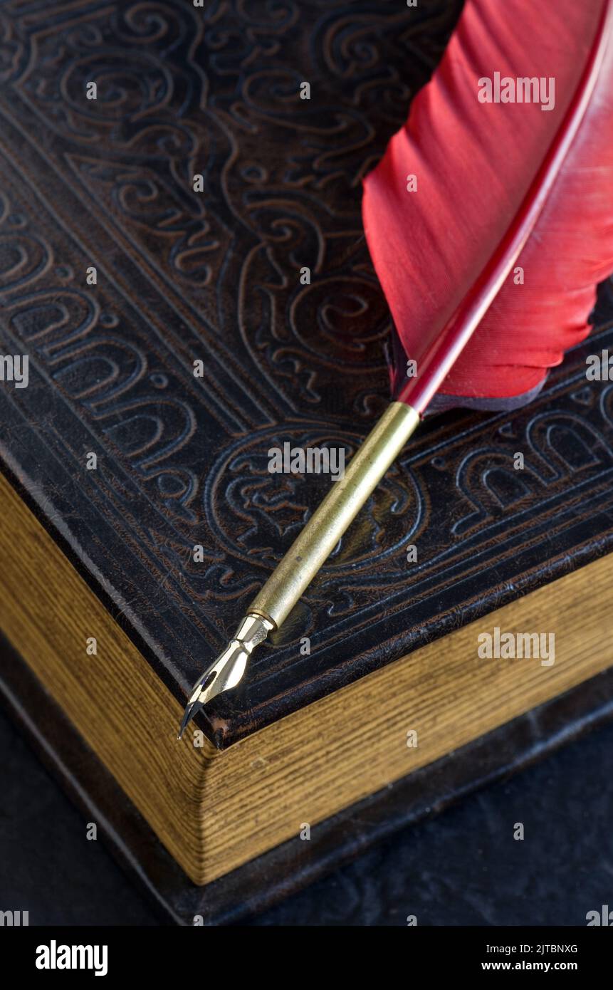 Beautiful Antique Red Feather Pen with Brown Book on Black Table ...