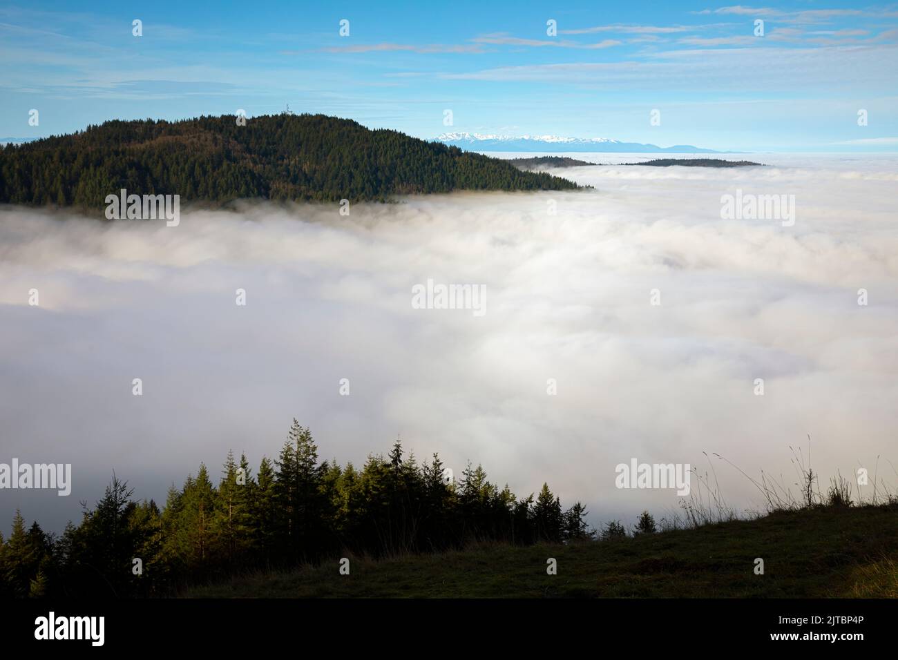 WA21908-00...WASHINGTON - Lowland fog covering the Puget Sound Basin ...