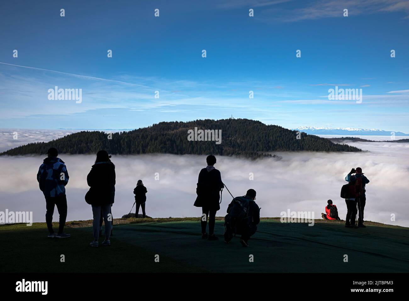 Paragliding launch point hi-res stock photography and images - Alamy