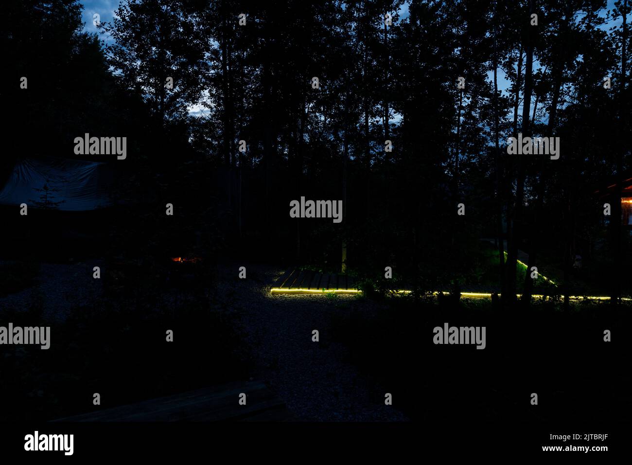 Night lights at the glamping in the forest Stock Photo - Alamy