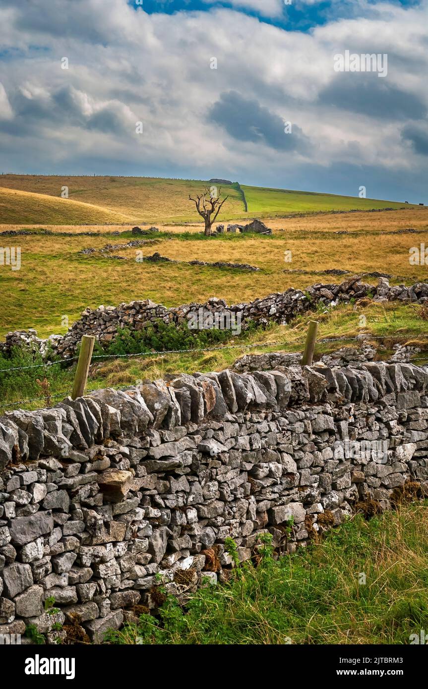 Derelict barn and a dead tree on pasture land with a spectacular summer ...
