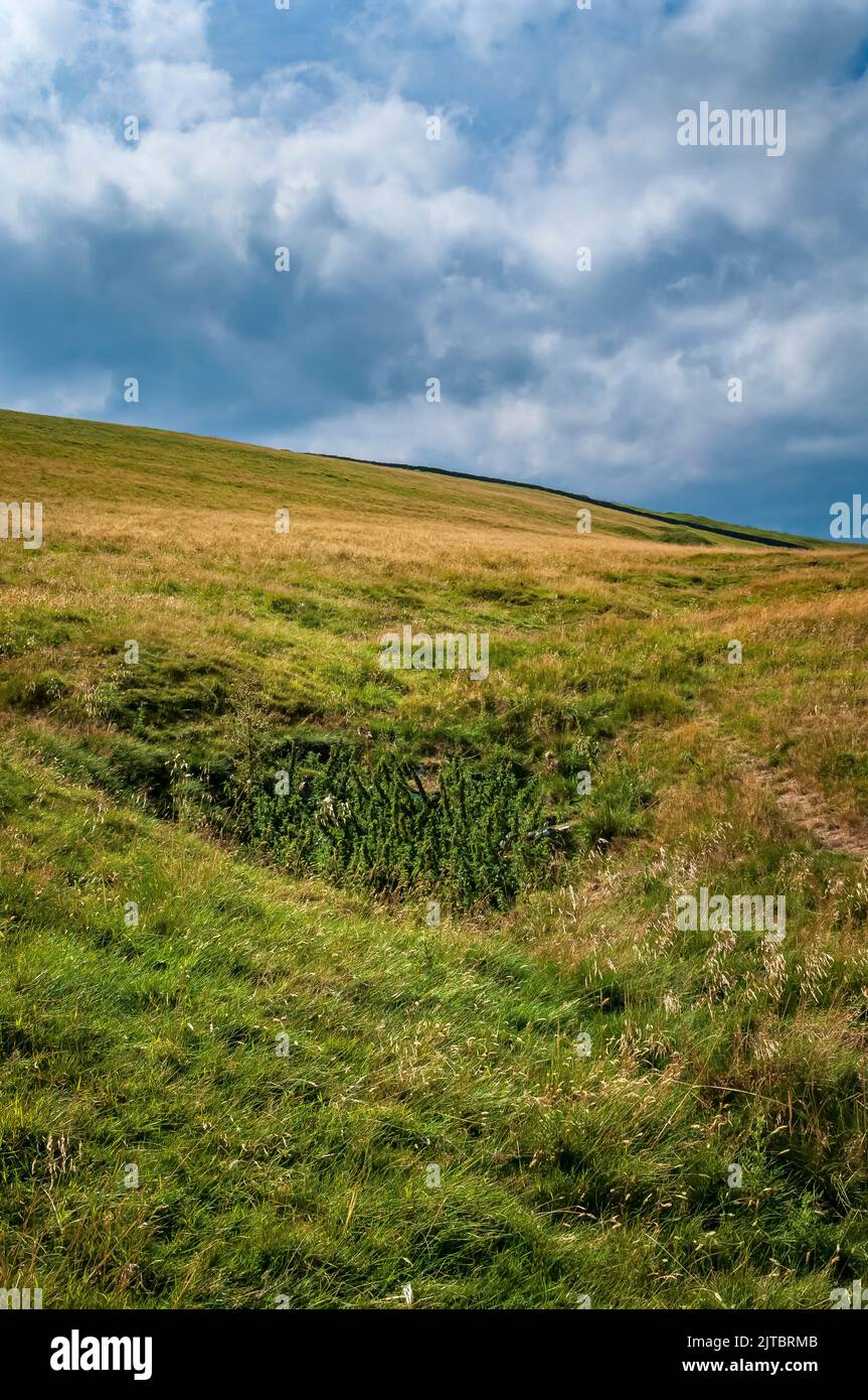 Natural sinkhole or blocked cave entrance on pasture land with a ...
