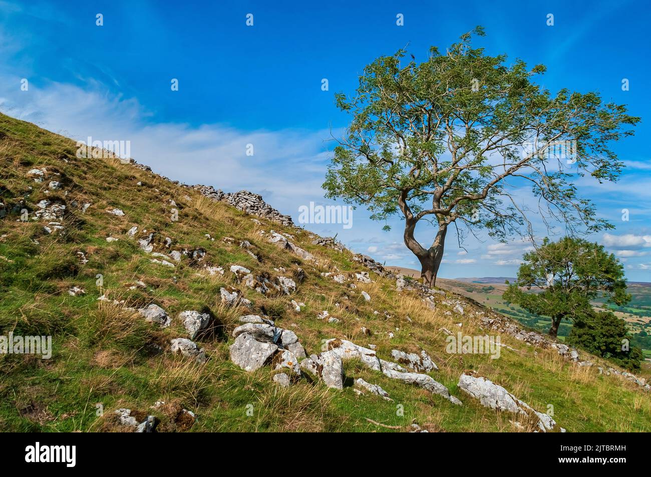 Natural karst landscape of exposed limestone and trees high on a hill ...