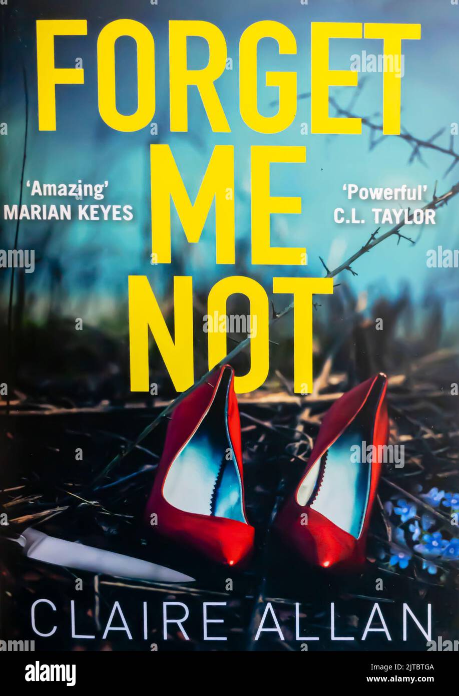 Forget Me Not Book by Claire Allan. 2019 Stock Photo - Alamy
