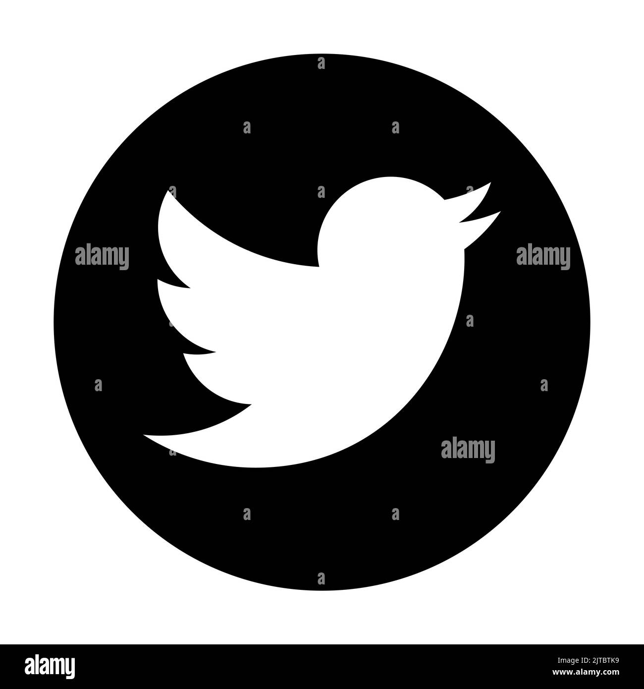 Twitter social media app icon Stock Vector Image & Art - Alamy