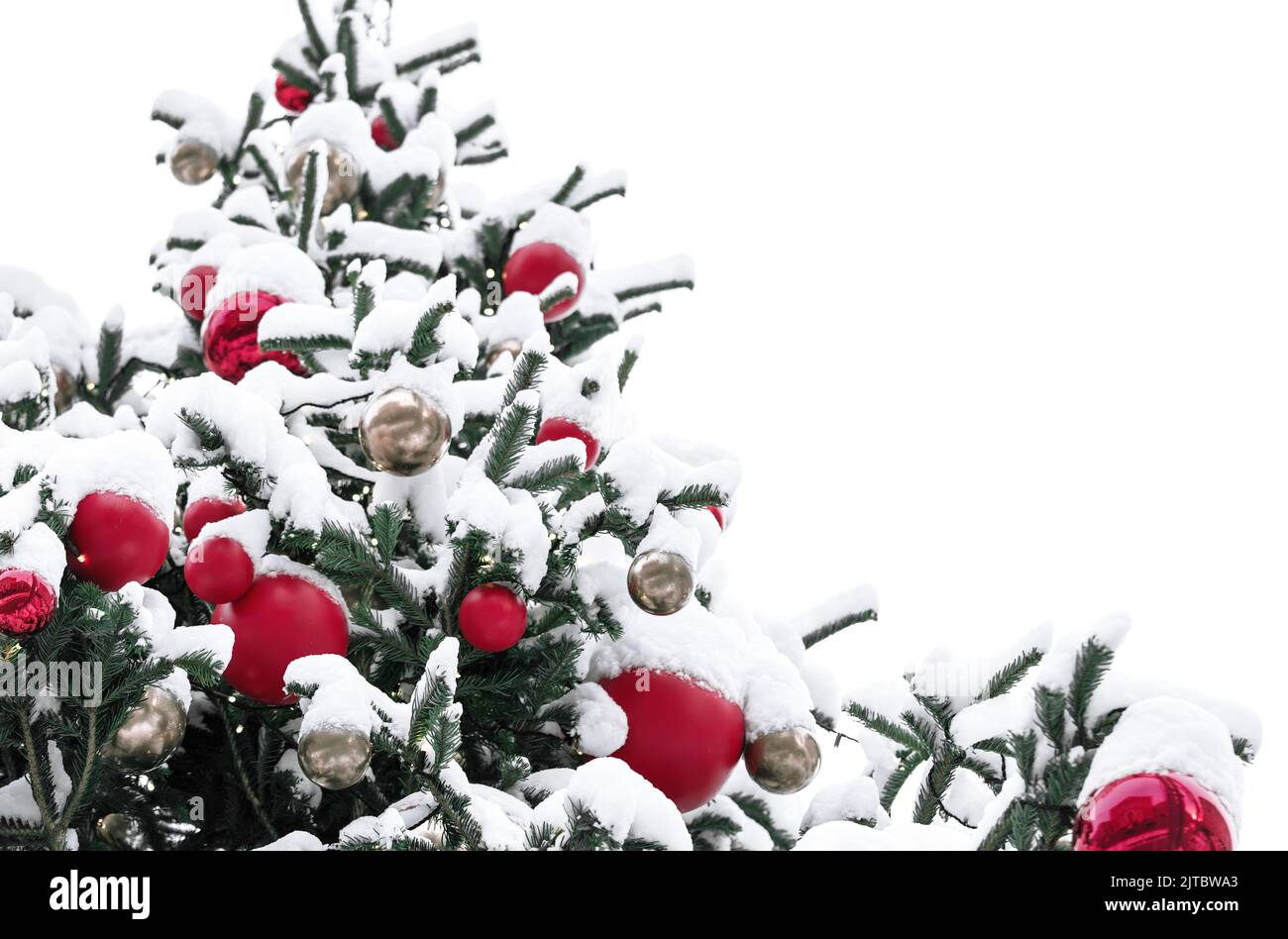 Fair tree hi-res stock photography and images - Alamy