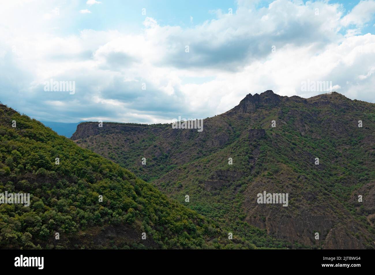 Highland forest hi-res stock photography and images - Alamy