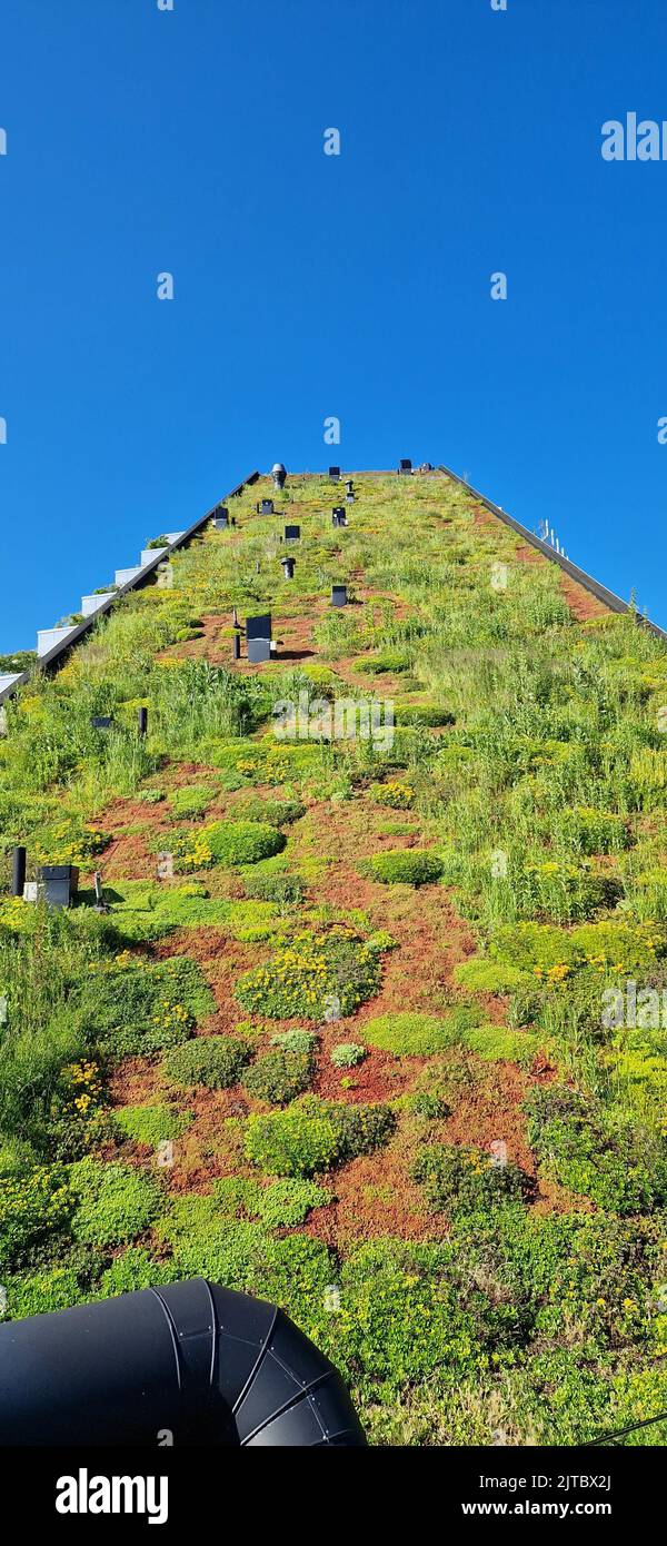 The green roof of the danish award-winning building '8 tallet" in ...