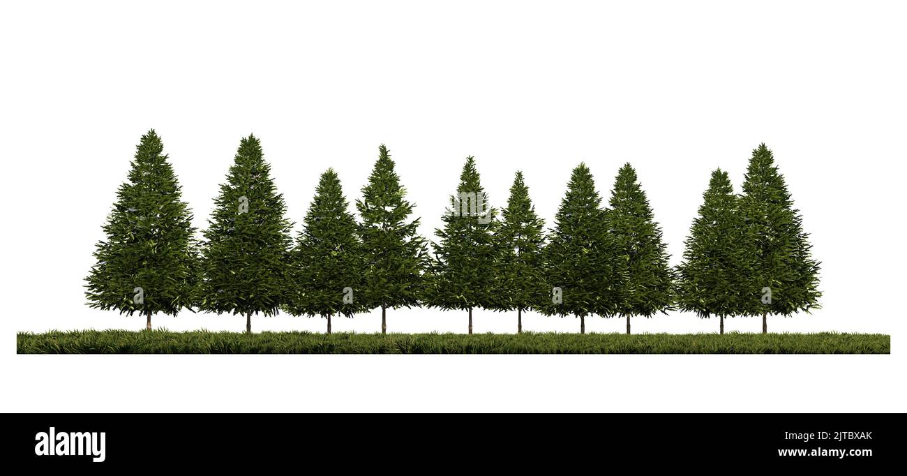 View water trees on Cut Out Stock Images & Pictures - Alamy