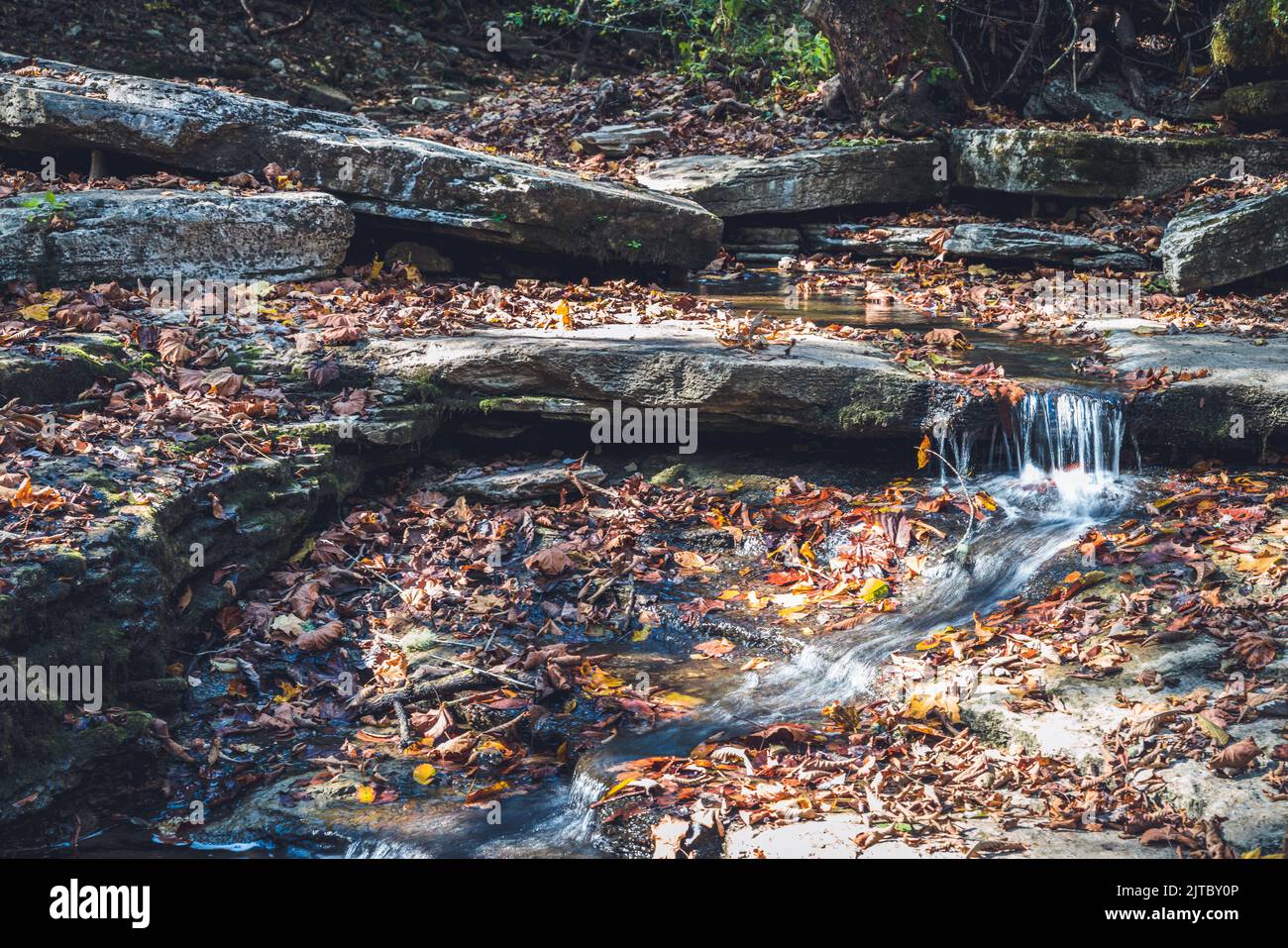 Raven Run creek and ravine in Raven Run Nature Sanctuary in Lexington ...