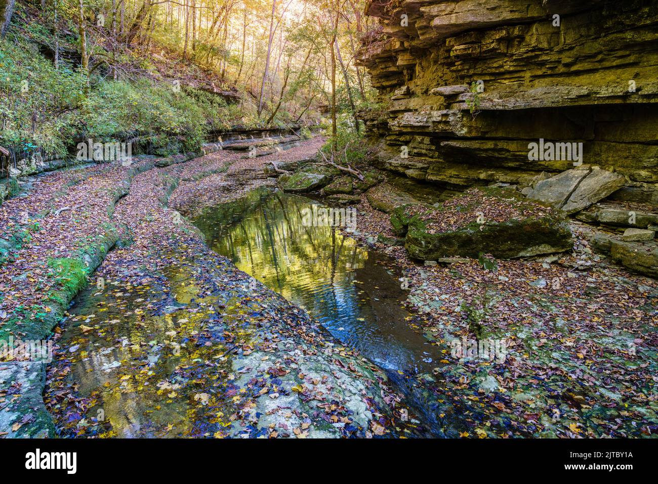 Raven Run creek and ravine in Raven Run Nature Sanctuary in Lexington ...