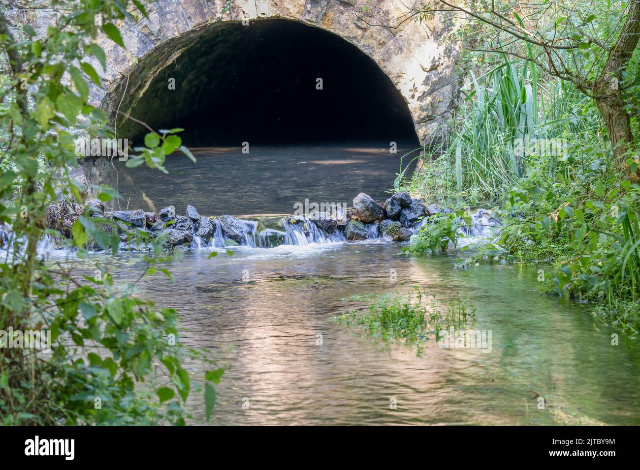 close-up of a chalk stream river flowing out of a stone arched tunnel ...
