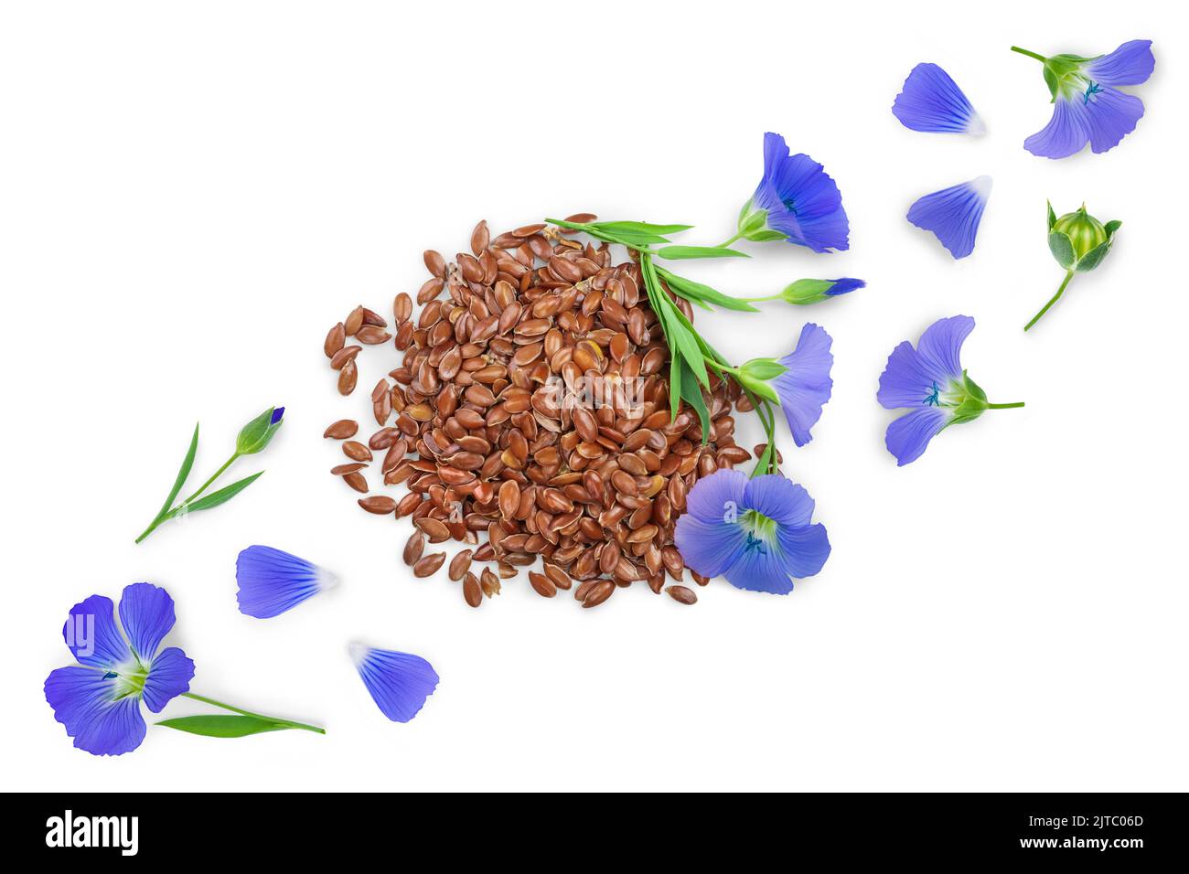 flax seeds with flower isolated on white background Stock Photo - Alamy