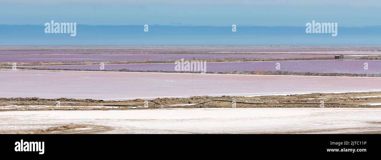 Namibia, panorama of the the salt marshes near Walvis Bay, pink lake ...