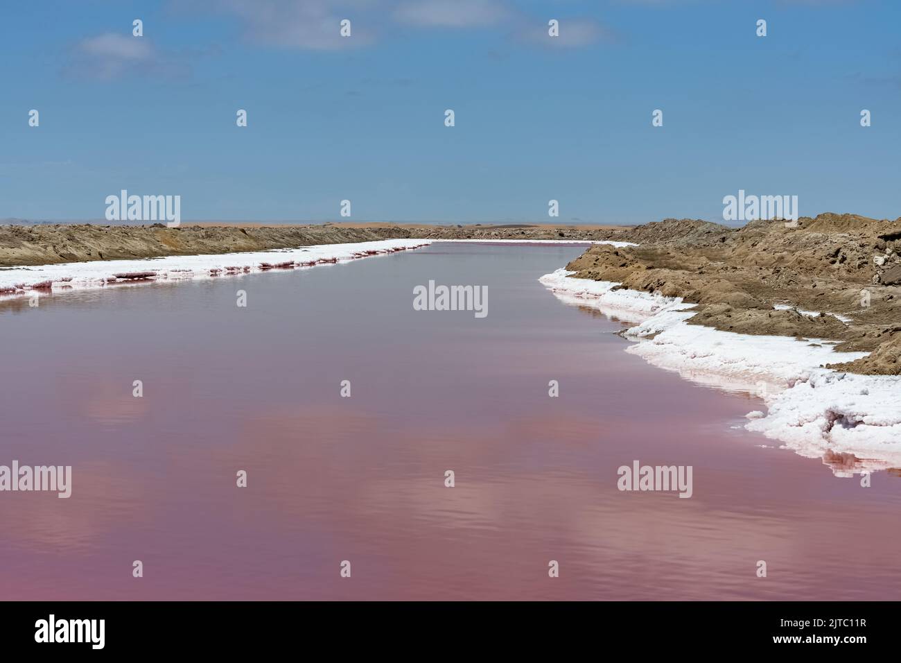 Namibia, panorama of the the salt marshes near Walvis Bay, pink lake ...
