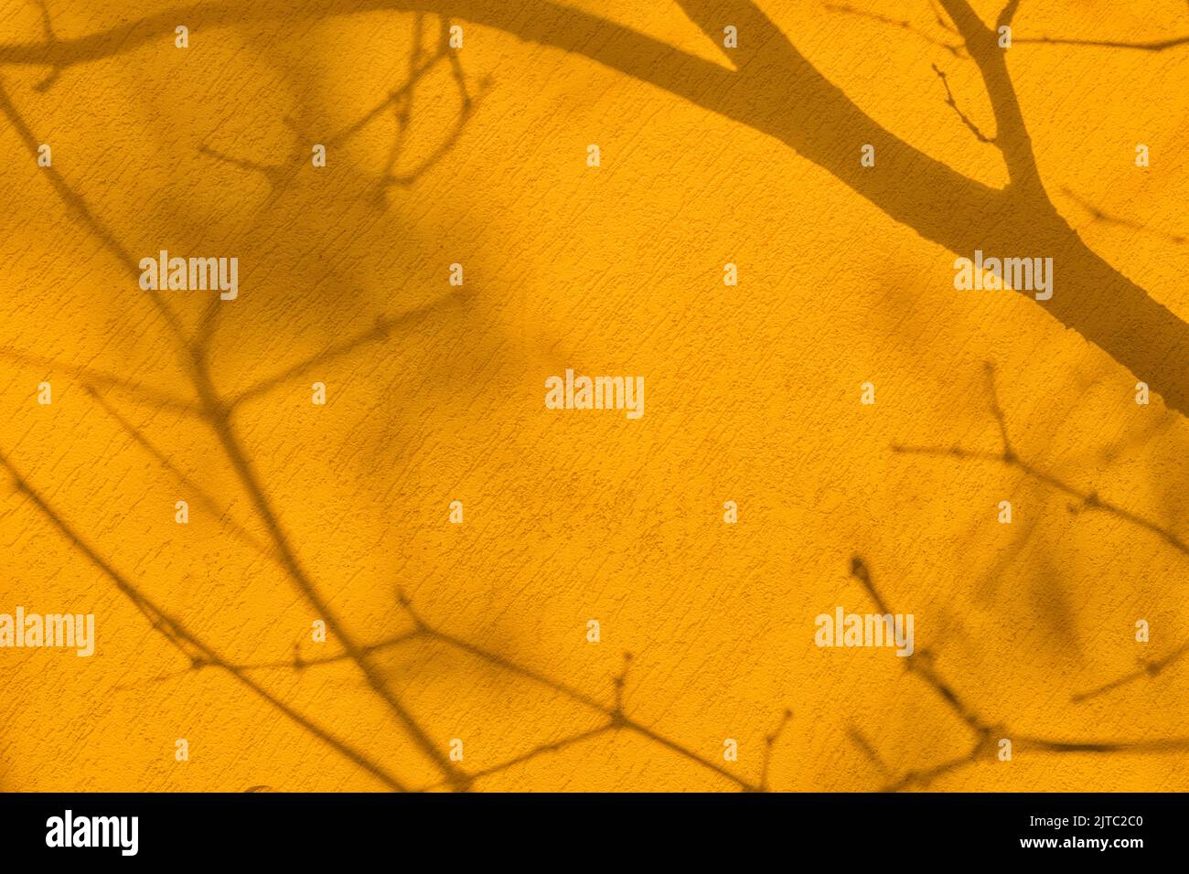 Shadow of branches on saturated yellow concrete wall texture background ...
