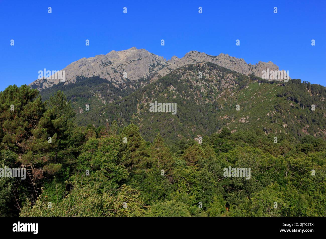 Panoramic view at Monte d'Oro (2,389 m) in the south of the Monte ...