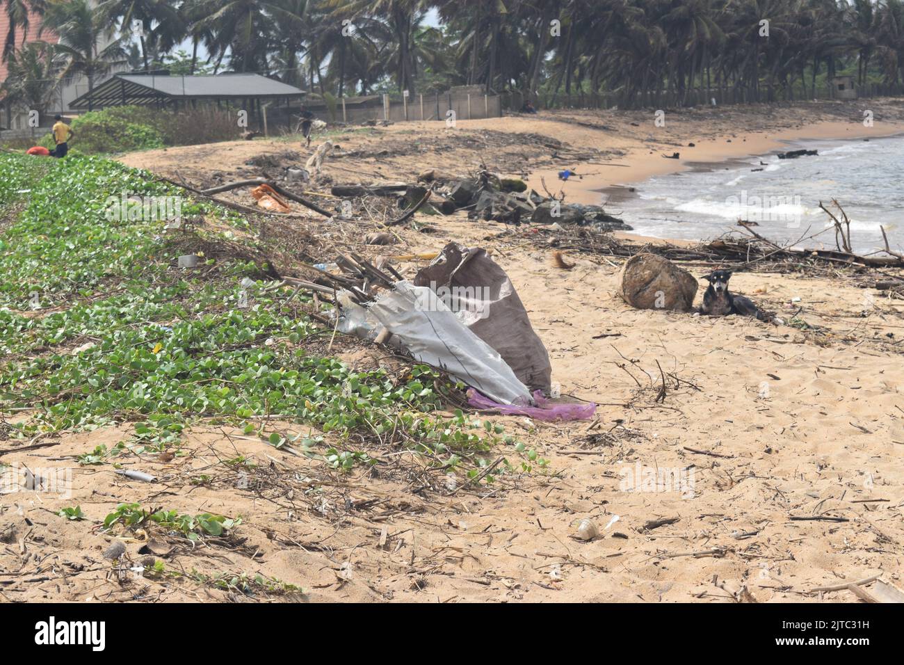 Indian garbage collectors hi-res stock photography and images - Alamy