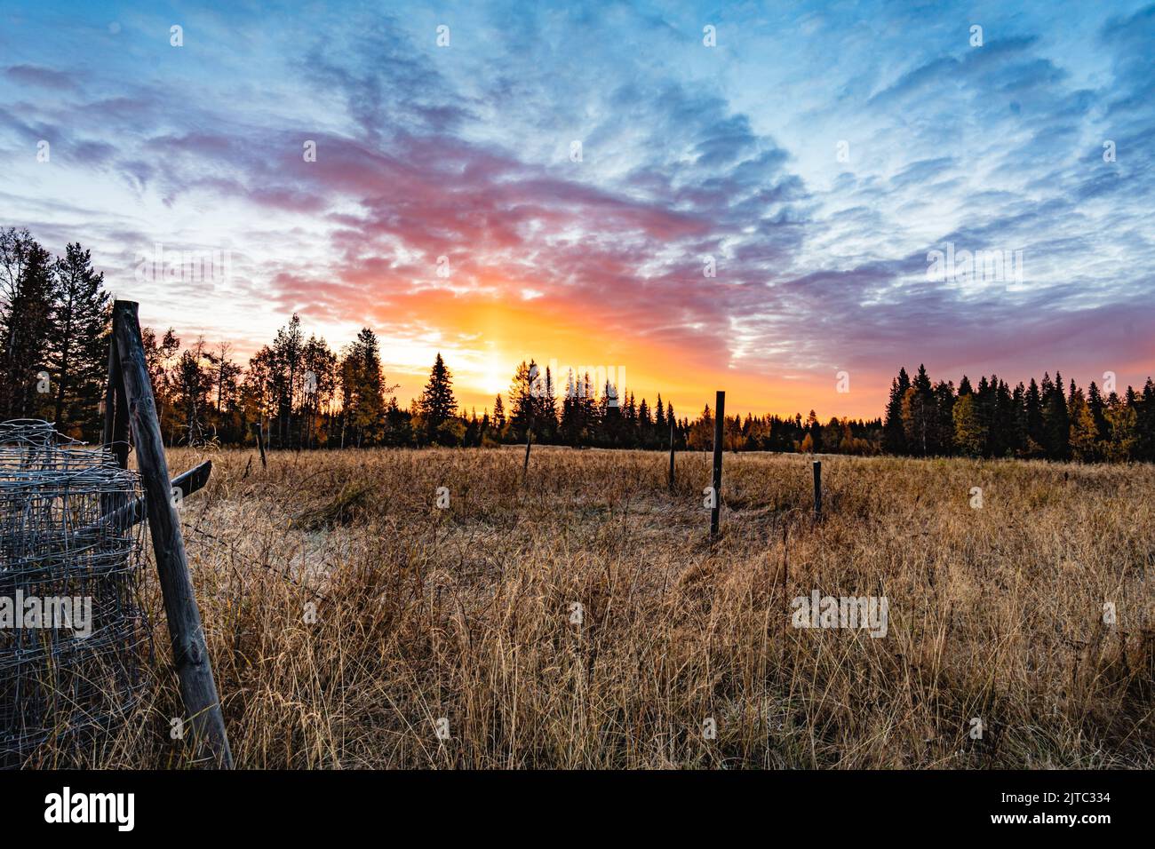 A beautiful view of a field and trees with a sunset sky background ...
