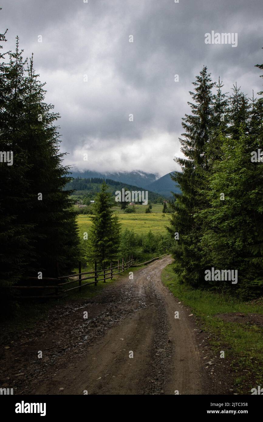 A vertical shot of a road near a field and trees with a cloudy sky ...