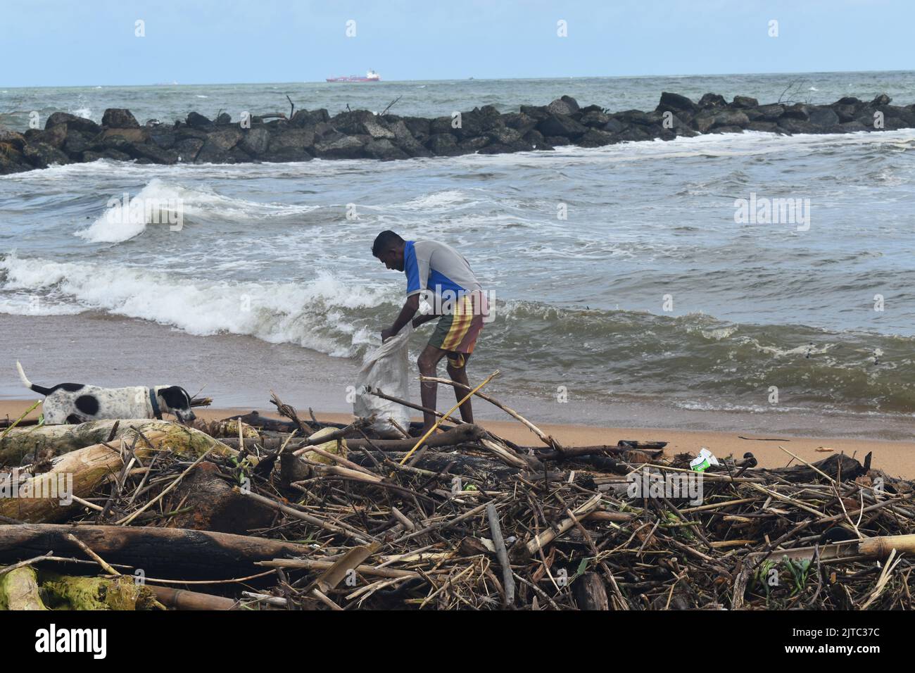 Indian garbage collectors hi-res stock photography and images - Alamy