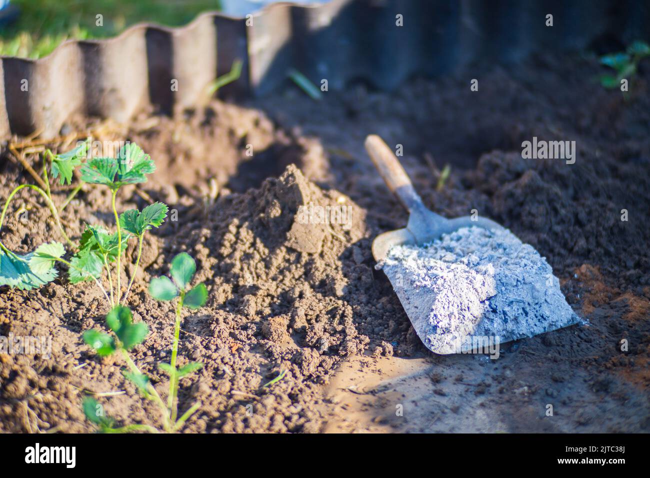 Prepare the soil for planting crops in the garden. Cultivated land ...