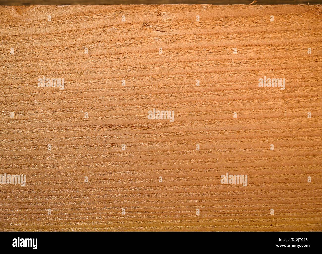 Plank of sawn timber closeup with grain and vignette for background use ...