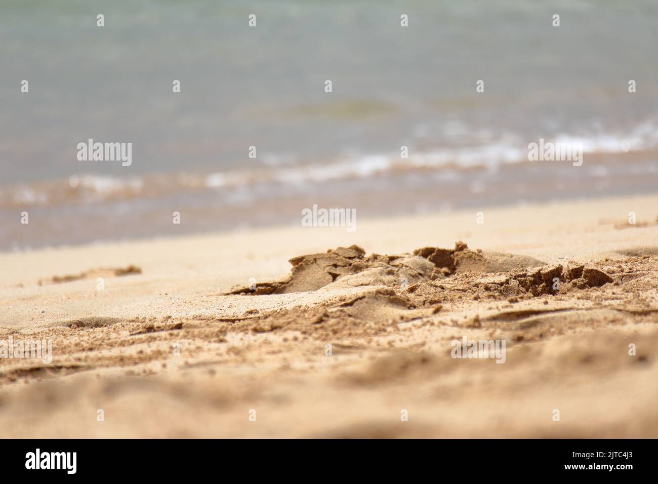 Selective Focus of Beach Sand against blurred ocean background Stock ...