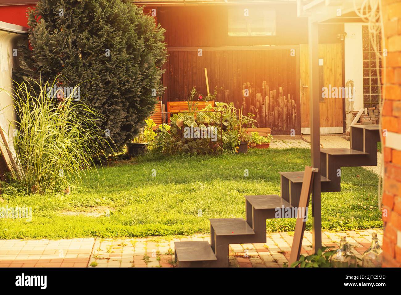 Backyard flora hi-res stock photography and images - Alamy