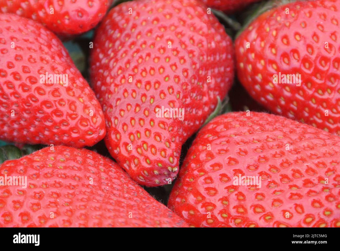 Strawberries, container of fresh red strawberries, close up on ...
