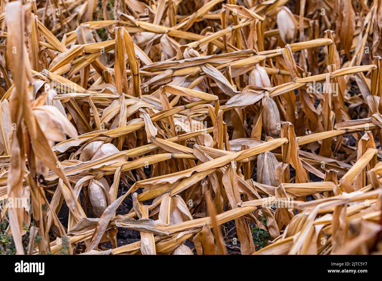 Loss and damage climate hi-res stock photography and images - Alamy