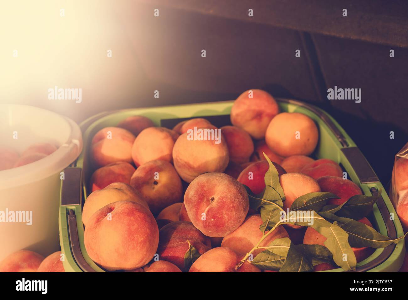 Fresh peaches in baskets at the back of a car Stock Photo - Alamy