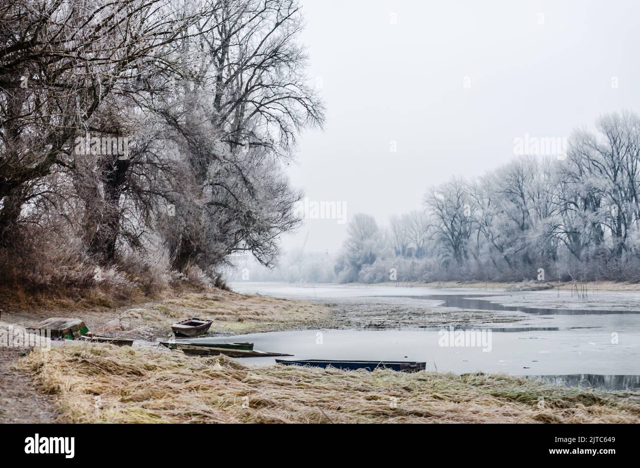 Danube Island Sodros near Novi Sad, Serbia. Gray and white landscape ...