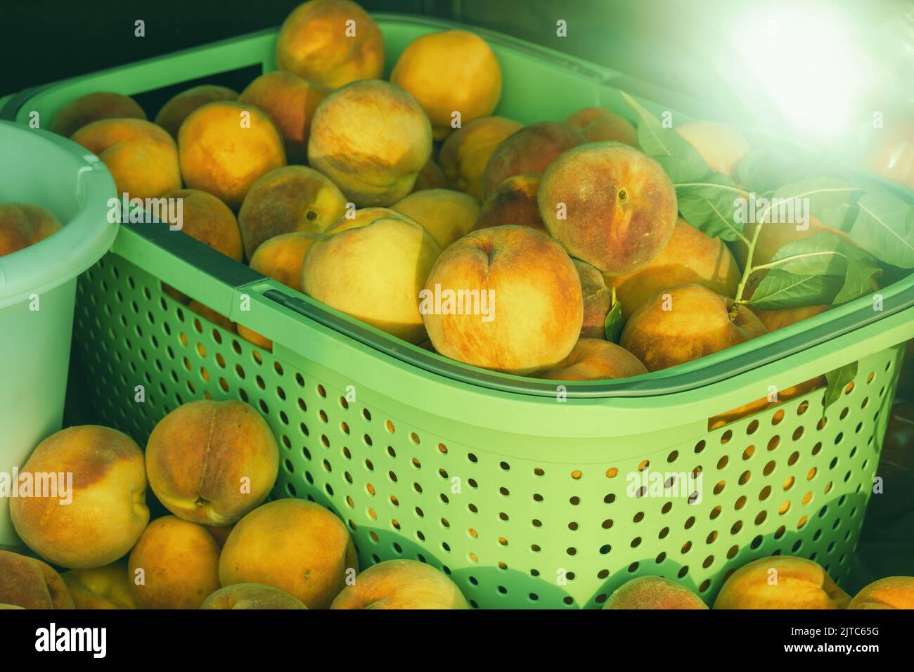 Fresh peaches in baskets at the back of a car Stock Photo - Alamy
