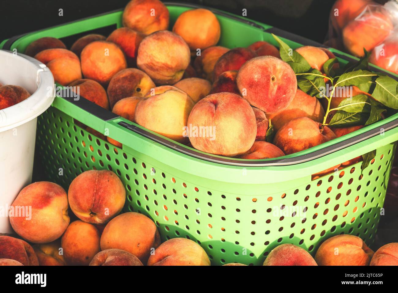 Fresh peaches in baskets at the back of a car Stock Photo - Alamy