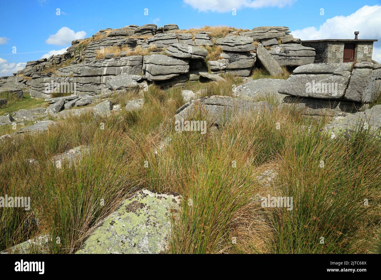 Oke tor, Dartmoor, Devon, England, UK Stock Photo - Alamy