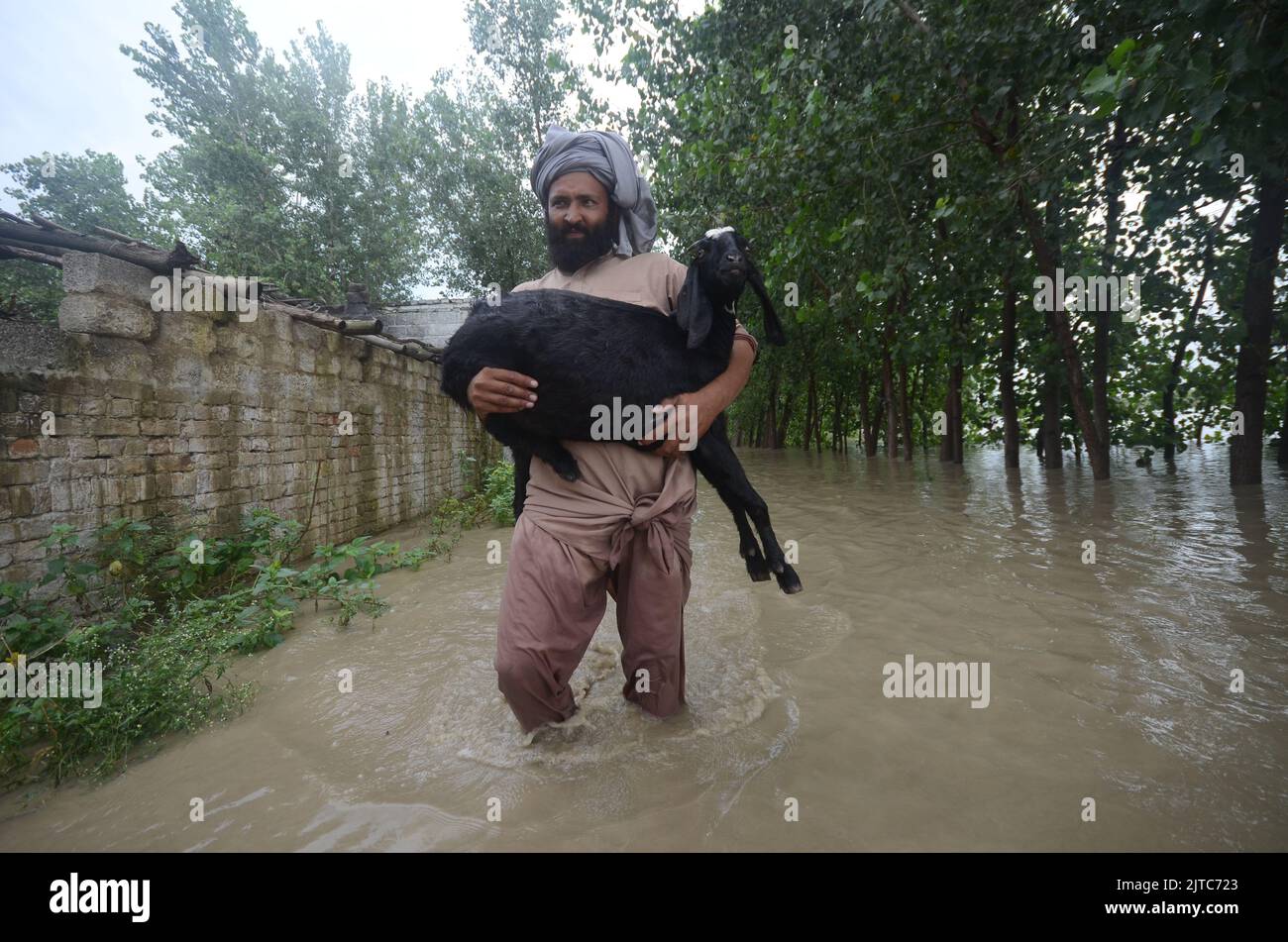 Peshawar, Pakistan. 26th Aug, 2022. Torrential rains and storms cause ...
