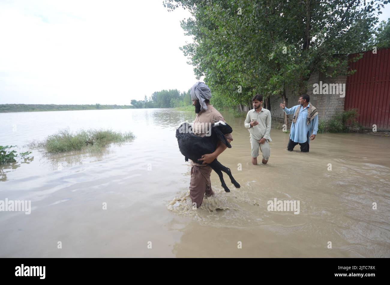 Peshawar, Pakistan. 26th Aug, 2022. Torrential rains and storms cause ...