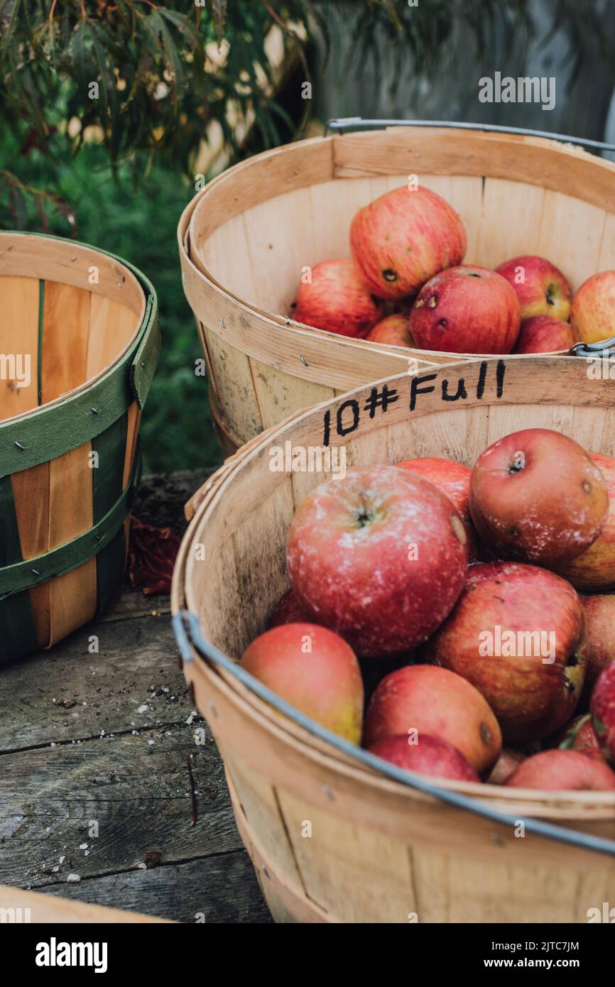 Wood baskets full farm hi-res stock photography and images - Alamy