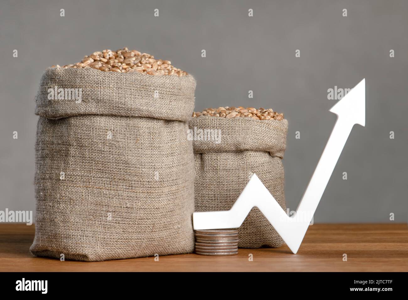 World food crisis. Grains of wheat, close-up. Grain harvest, poor ...