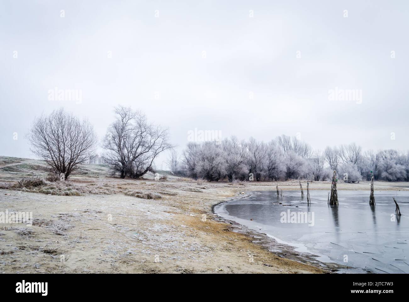 Danube Island Sodros near Novi Sad, Serbia. Gray and white landscape ...