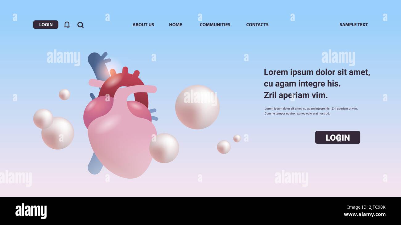 anatomical heart icon human body internal organ anatomy medicine ...