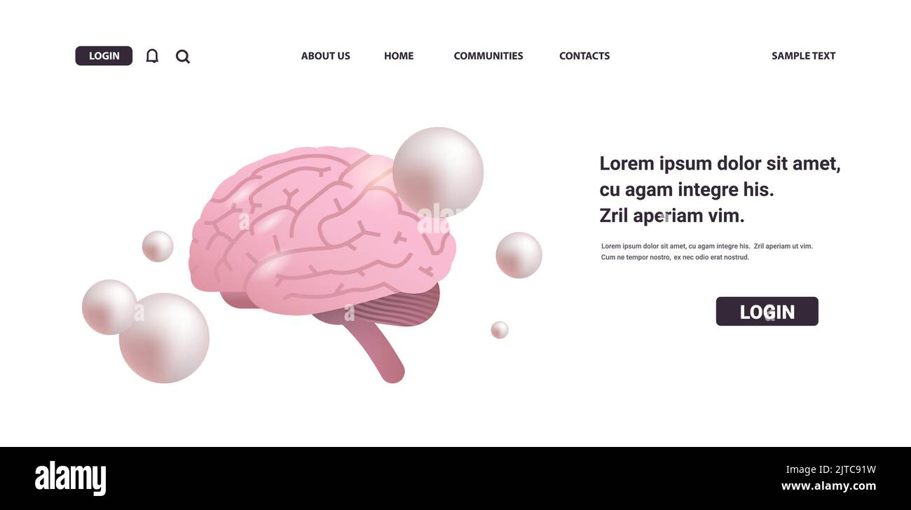 anatomical brain icon human body internal organ anatomy medicine ...