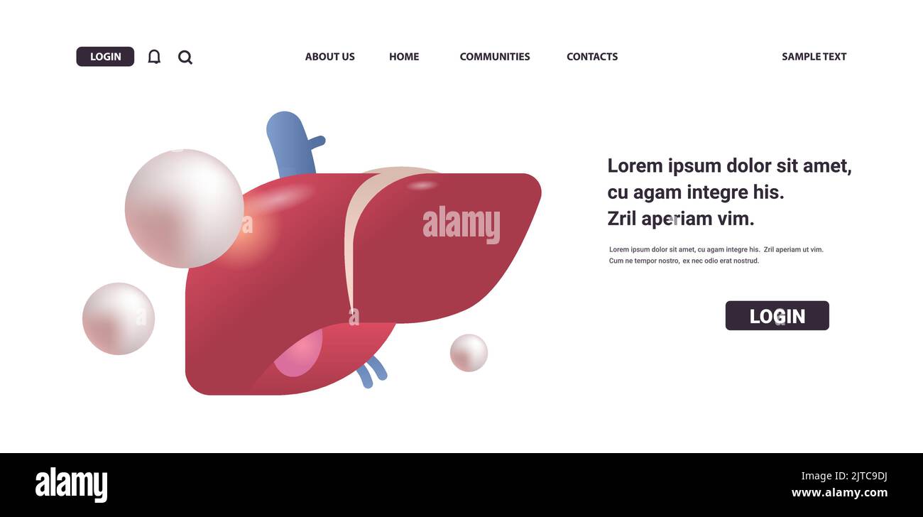anatomical liver icon human body internal organ anatomy medicine ...