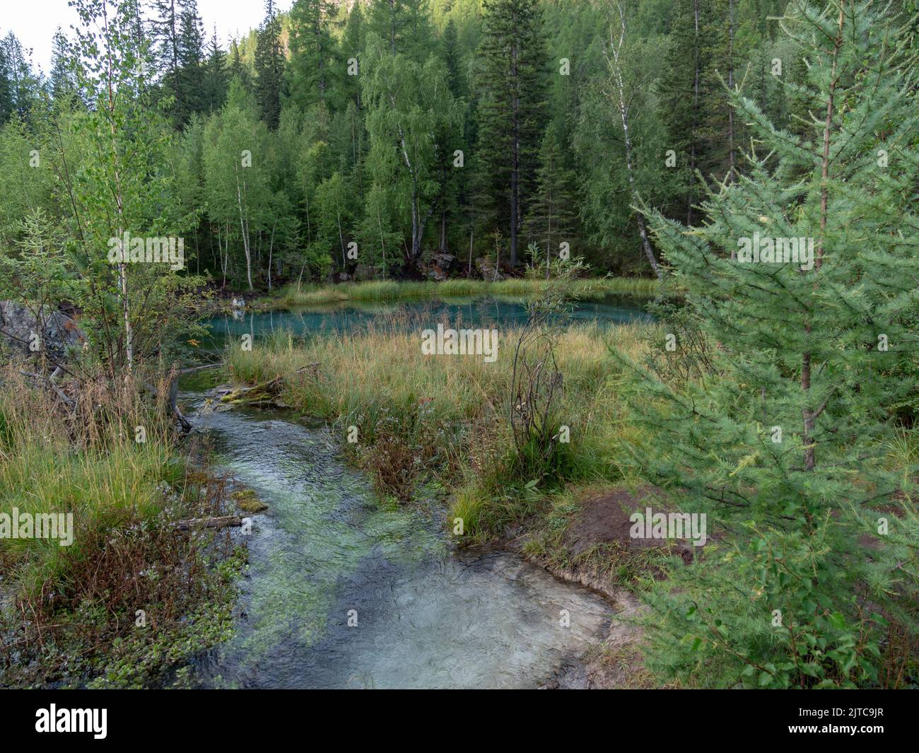 Amazing blue geyser lake in the mountains of Altai, Russia Stock Photo ...